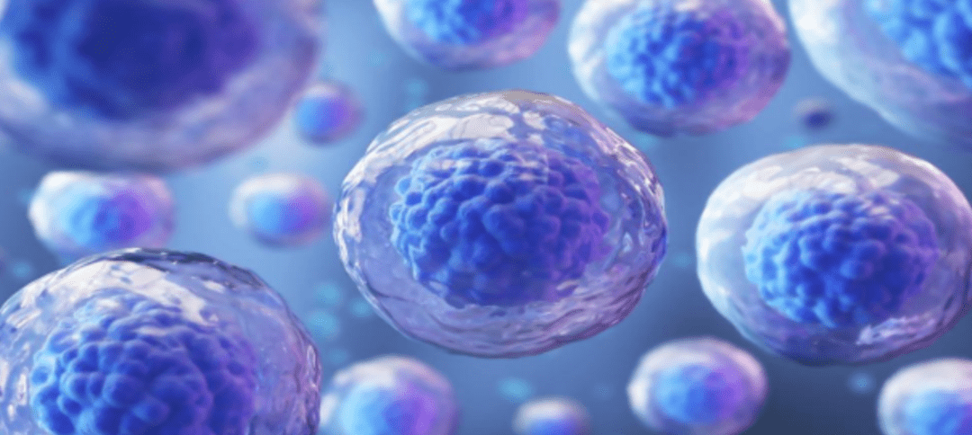 Can Stem Cells Repair Brain Damage? | Stemedix